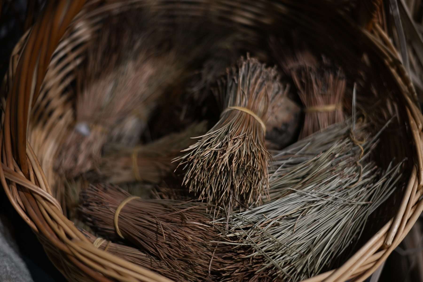 FD02-T/ Fibras Vegetales y paisajismo - FOACAL. Artesanía Castilla y León
